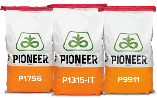 Corn Hybrids - Pioneer Seeds